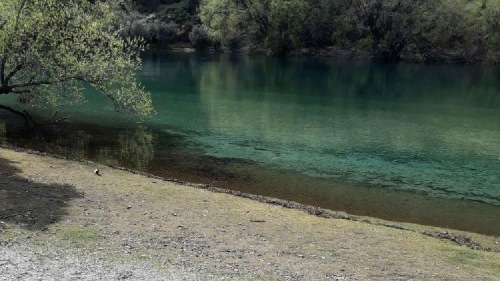 Accessible walking tracks around New Zealand | Accessibel | Sensibel