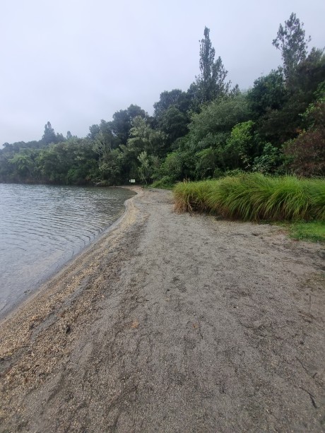 Lake Tikitapu (Blue Lake) Loop | Accessible walking tracks | Accessibel