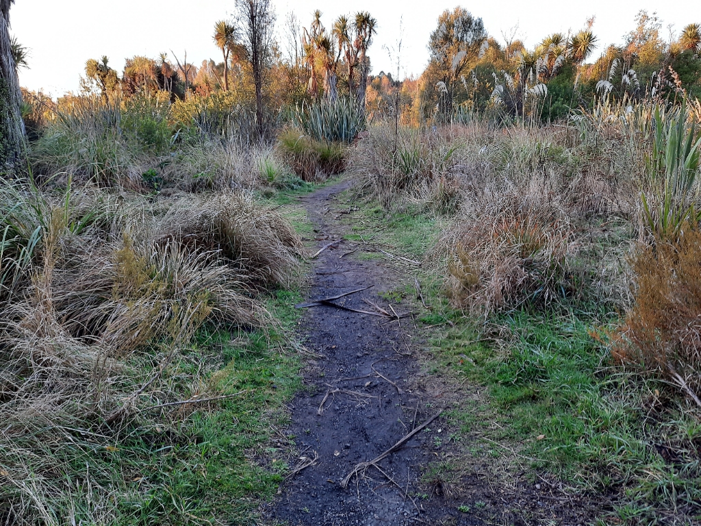 Halswell Quarry - Wetland | Accessible walking tracks | Accessibel