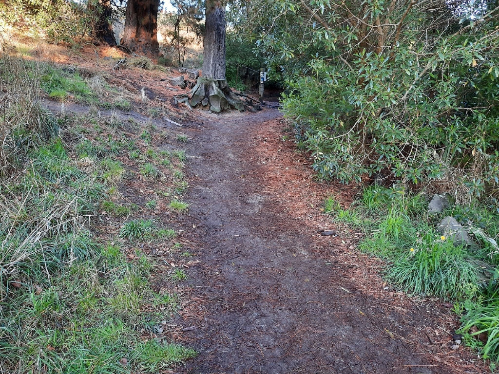 Halswell Quarry - Rim Track | Accessible walking tracks | Accessibel