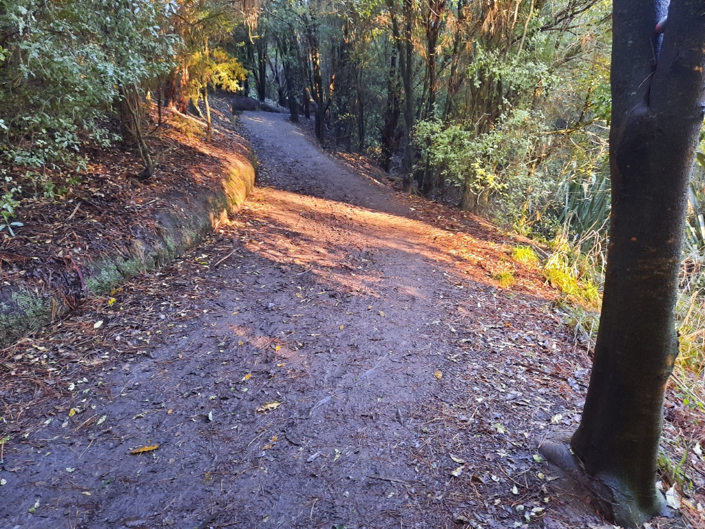 Halswell Quarry - Rim Track | Accessible walking tracks | Accessibel