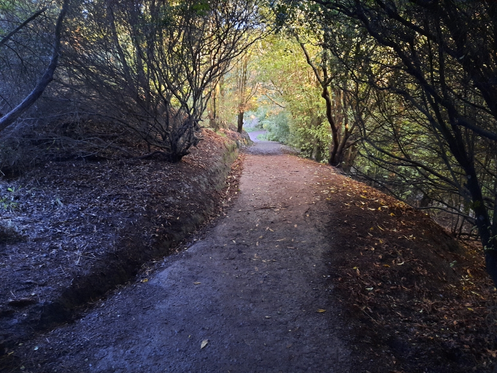 Halswell Quarry - Rim Track | Accessible walking tracks | Accessibel