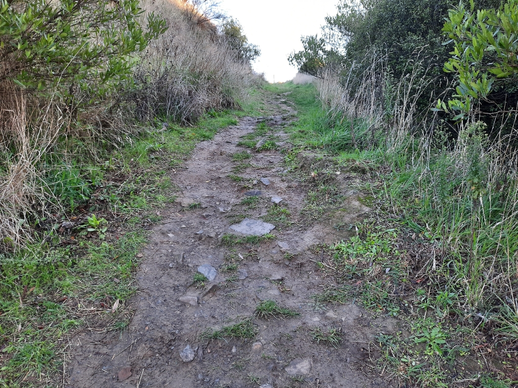 Halswell Quarry - Rim Track | Accessible walking tracks | Accessibel