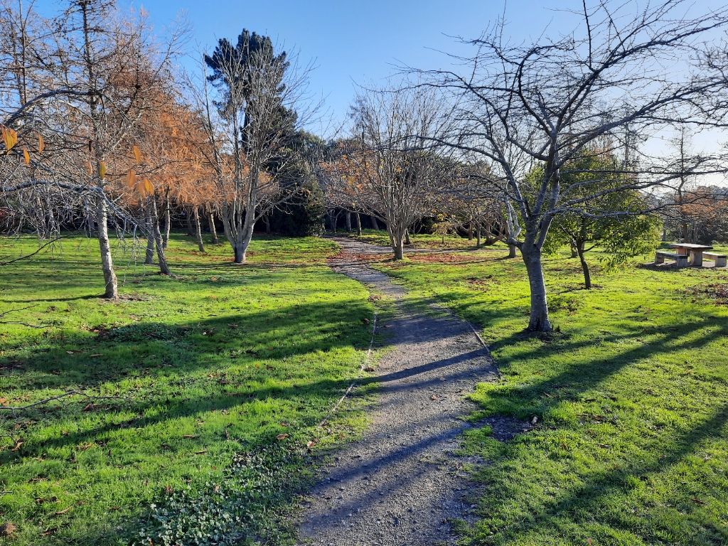 Halswell Quarry - Japanese garden | Accessible walking tracks | Accessibel